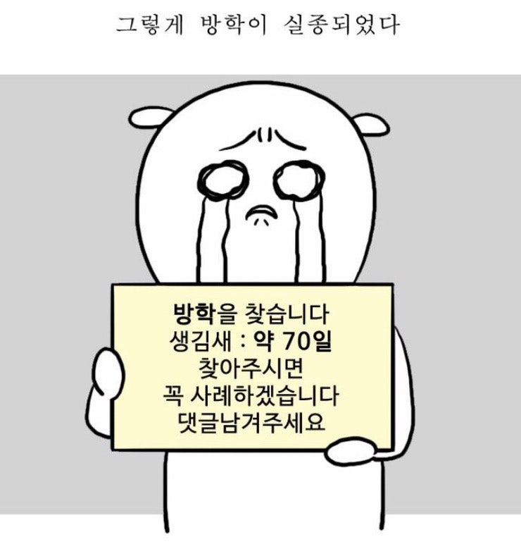 대학생활 웹툰 대학일기 카톡프사 추천 방학 개강 대학생 짤 네이버 블로그